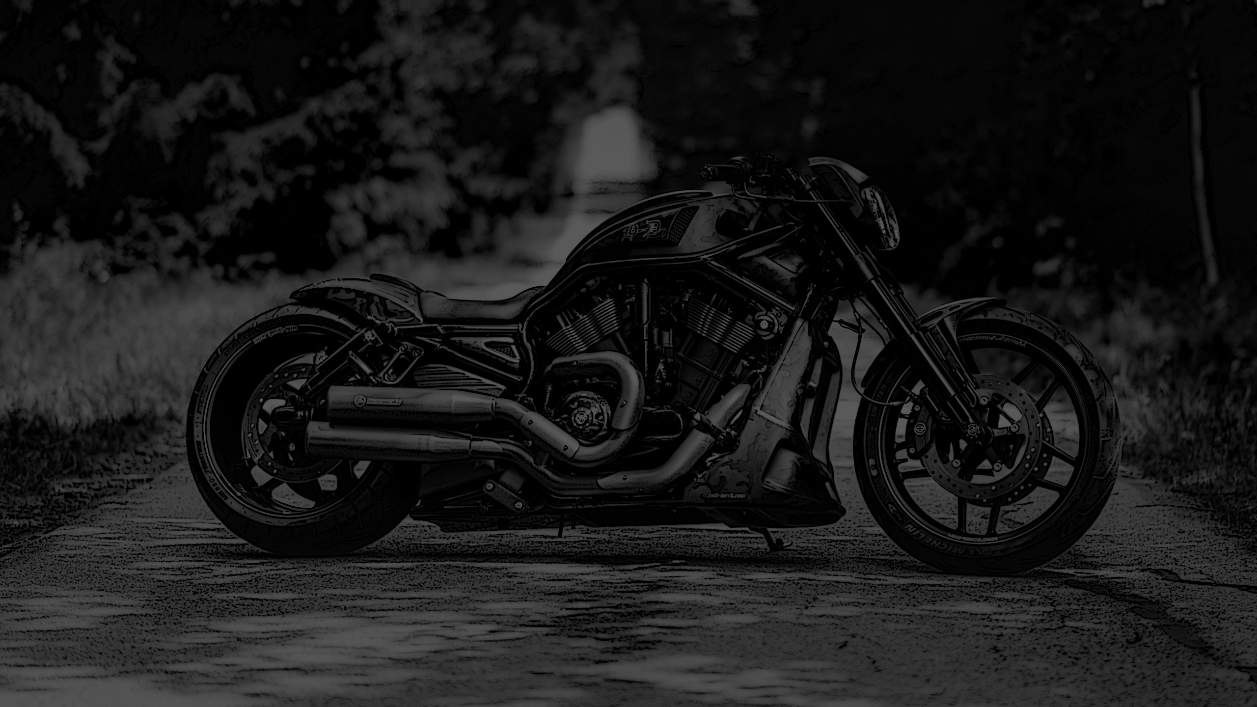 NIGHT ROD SPECIAL Camouflage Look