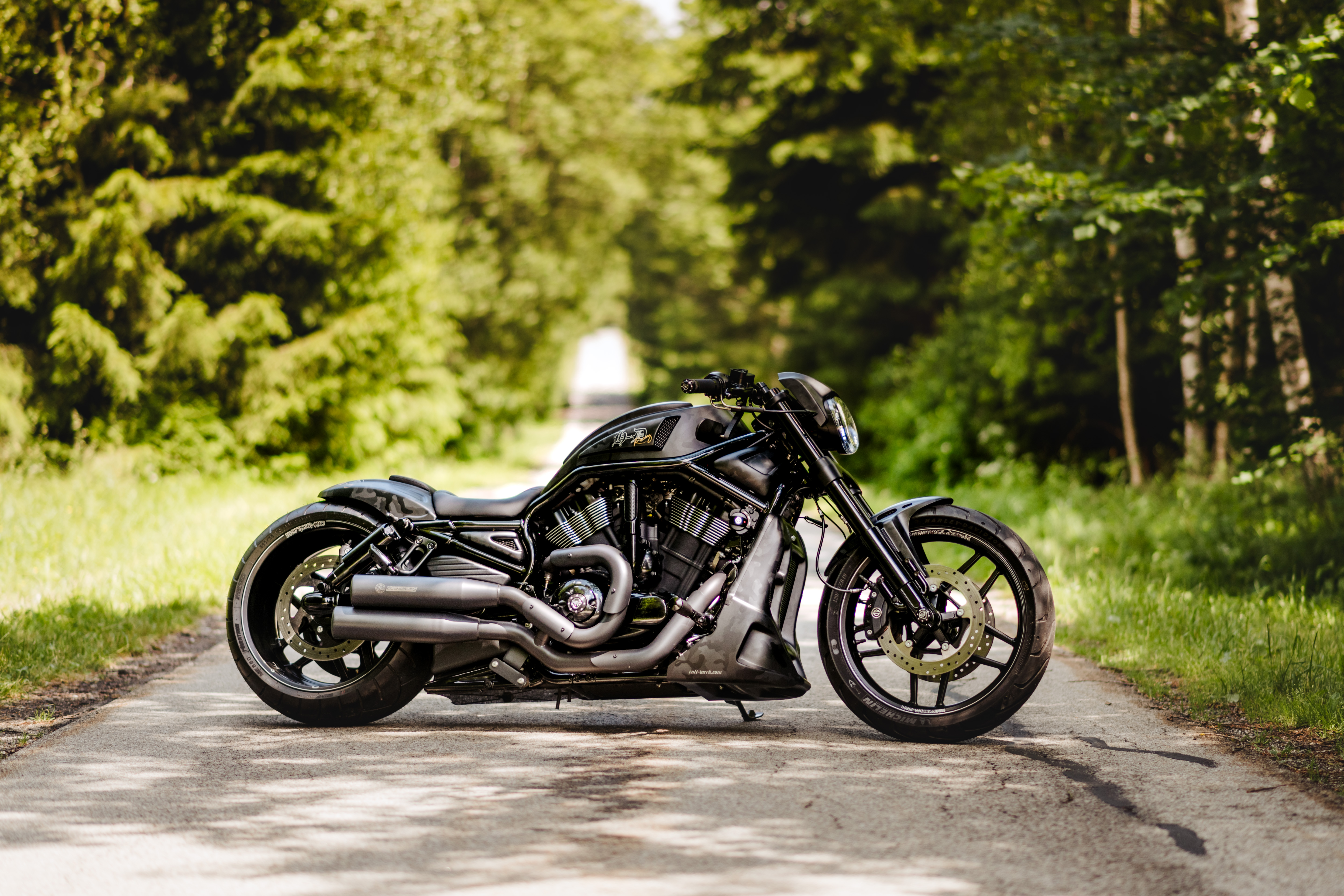 NIGHT ROD SPECIAL Camouflage Look