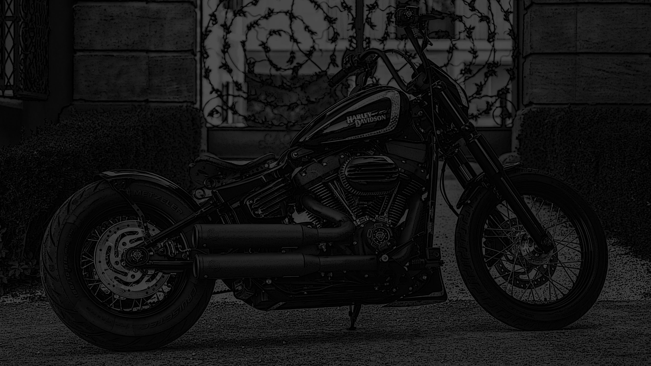 STREET BOB Black Look